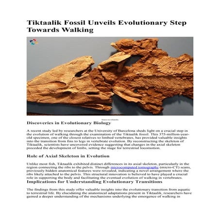 Tiktaalik Fossil Unveils Evolutionary Step Towards Walking | The ...