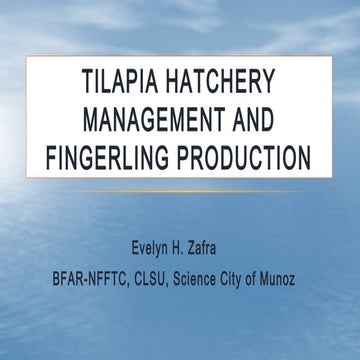 Tilapia Hatchery Management and Fingerling Production | PPT