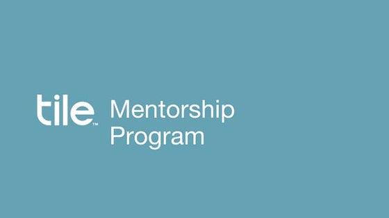 Mentorship agreement | PDF