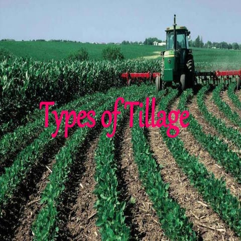 Ploughing pattern | PPTX