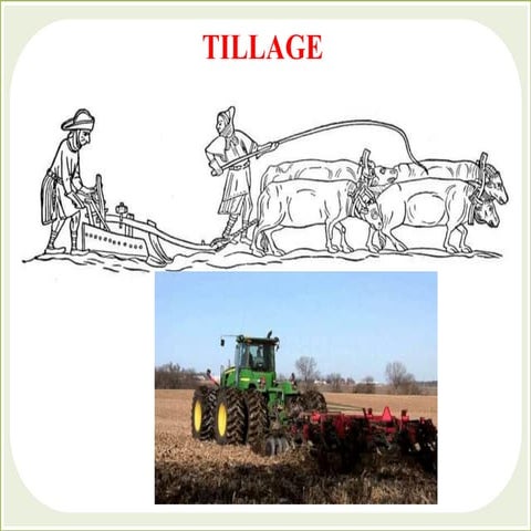 Tillage ppt.pdf