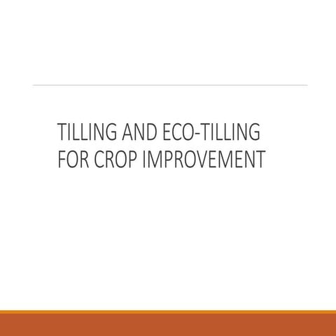 TILLING AND ECOTILLING.pptx