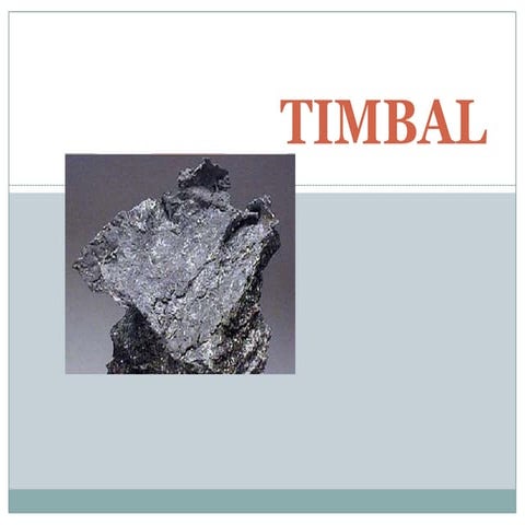 Timbal | PPTX