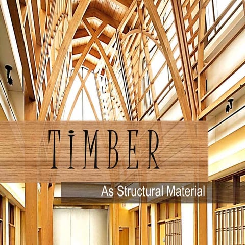 Timber | PPTX