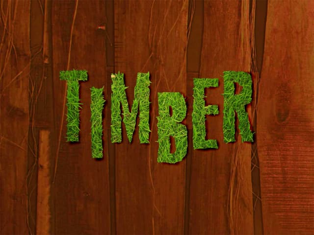 conversion of timber.pptx