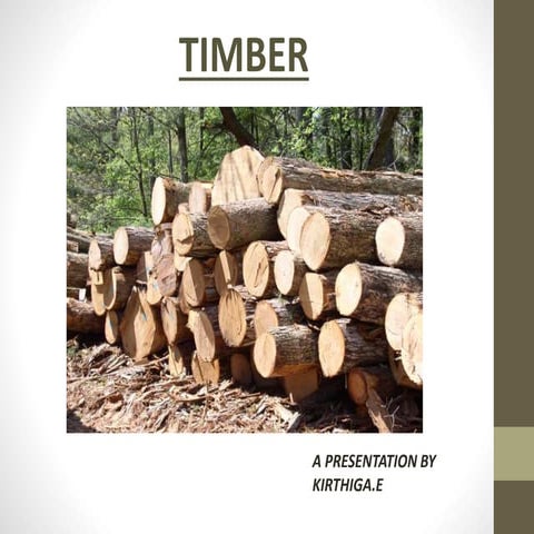 Timber | PPTX