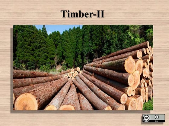 11 conversion of timber | PPT