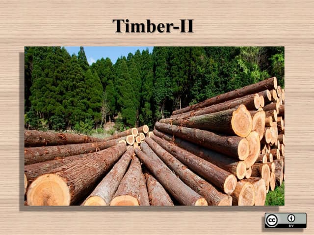 conversion of timber.pptx