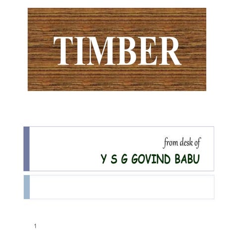 Timber | PPTX