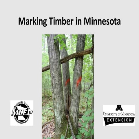 Timber Marking for Loggers | PPT
