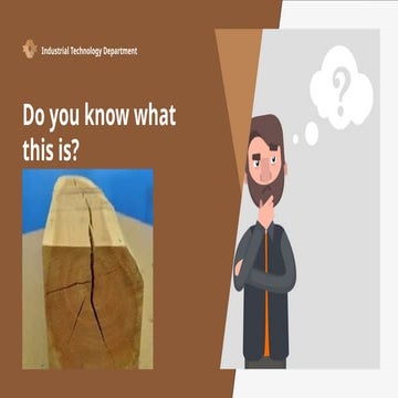 Basic Timber Defects Presentation (1).pptx