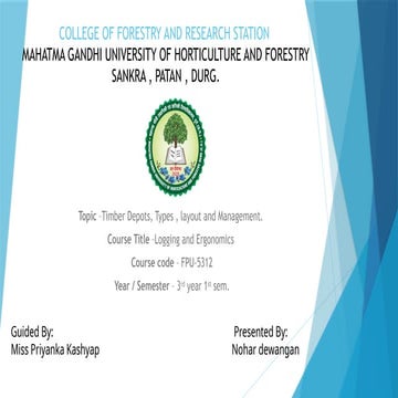 Timber Depot type of depot and layout PPT.pptx