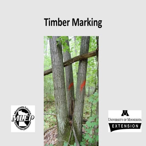 Timber Marking Ppt Slideshow & Notes Part 1 Ppt97 | PPT
