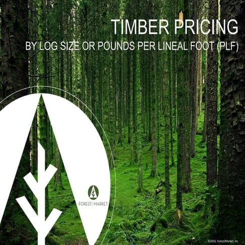 Timber Pricing by Log Size or Lineal Foot PLF | PPTX