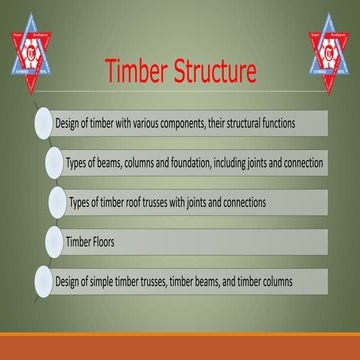 Timber Structure.pdf