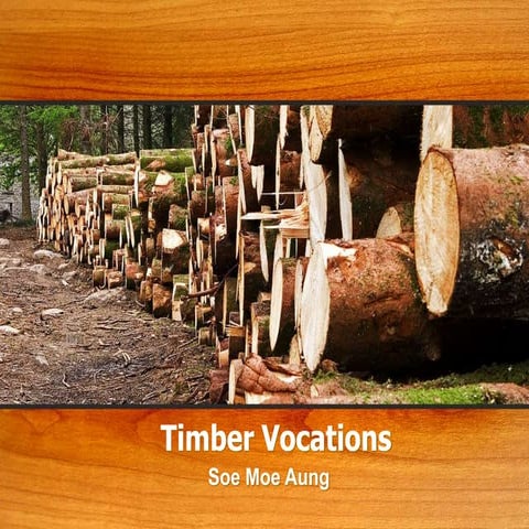 Timber Vocations for Civil Engineering.pptx