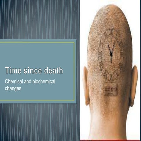 Time bio n chem | PPTX