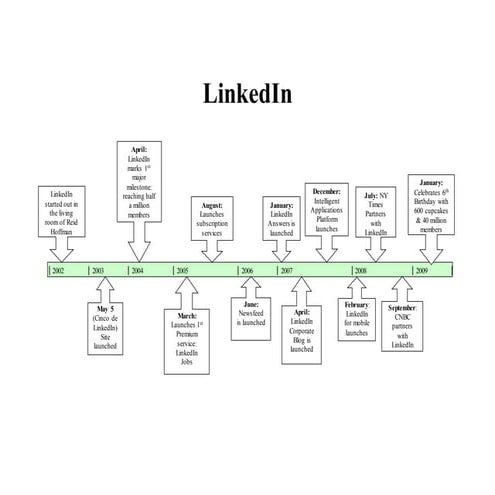 LinkedIn Timeline | DOCX | Social Networking | Internet