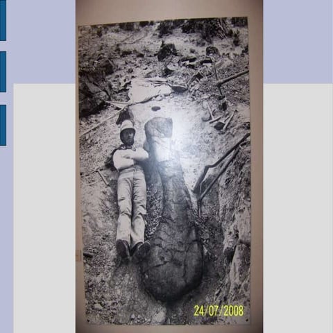 Timescapes Pt1b | PPT