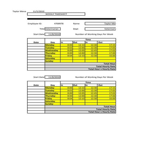 Timesheet | PDF