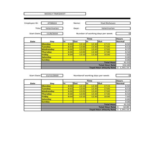 Timesheet | PDF