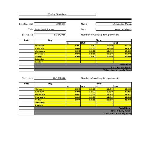 Timesheet | PDF
