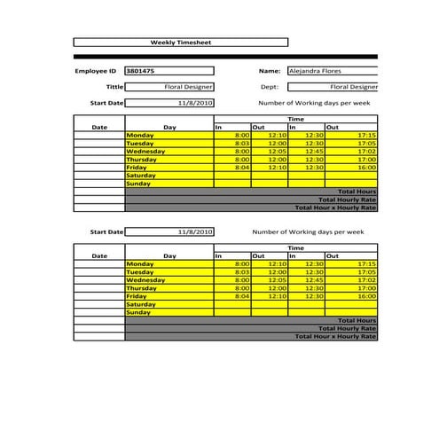Timesheet | PDF