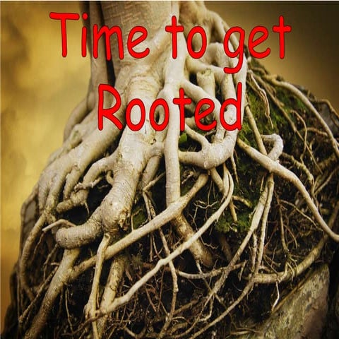 Time to get rooted powerpoint for church | PPT