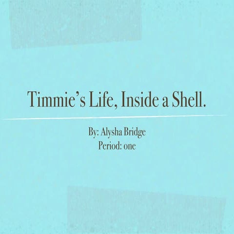 Timmie project | KEY