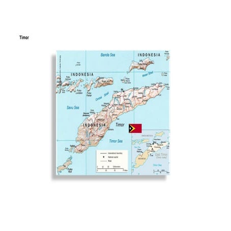 Timor-Leste | PDF