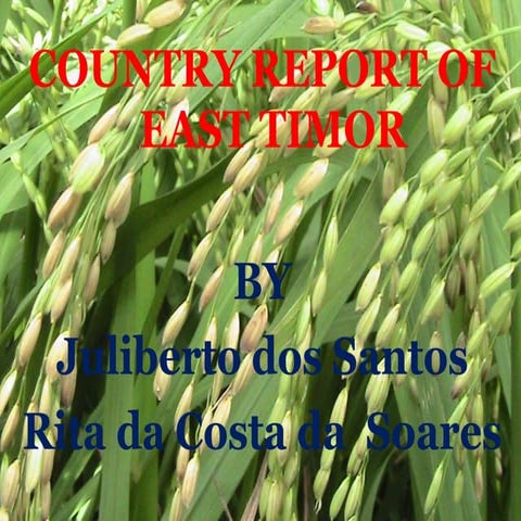 Timor Leste | PDF