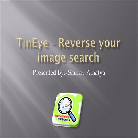 Tin Eye | PPT | Search | Internet