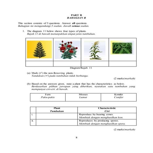 Science_(UASA) F1_ Sains DLP Model 1_2023.pdf