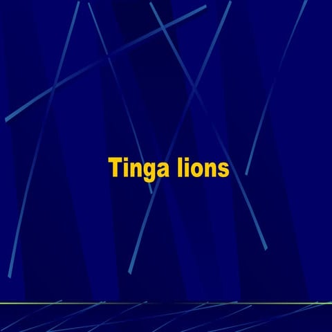 Tinga Lions | PPT