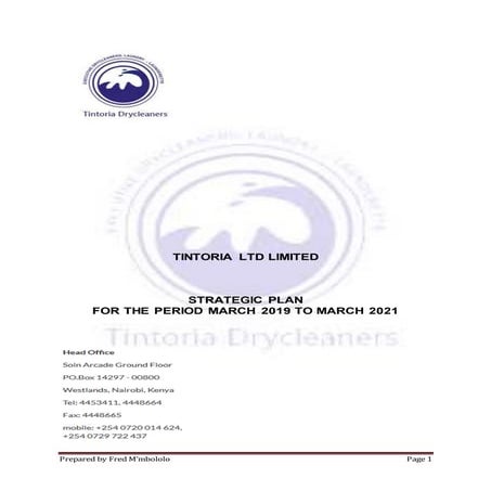 Tintoria strategic plan 2 2019-2024 | DOCX