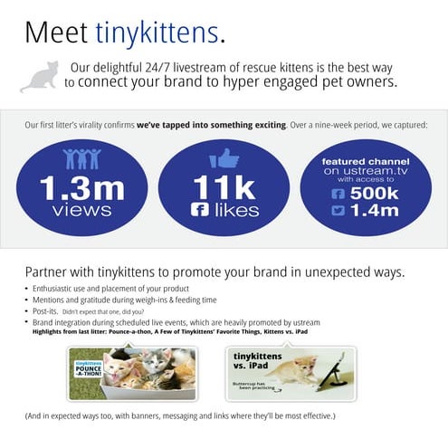 Tinykittens Webcam Partnership Profile | PDF