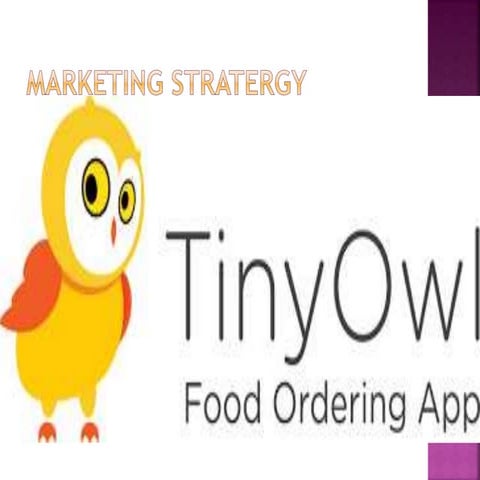 Tiny owl (1) | PPTX