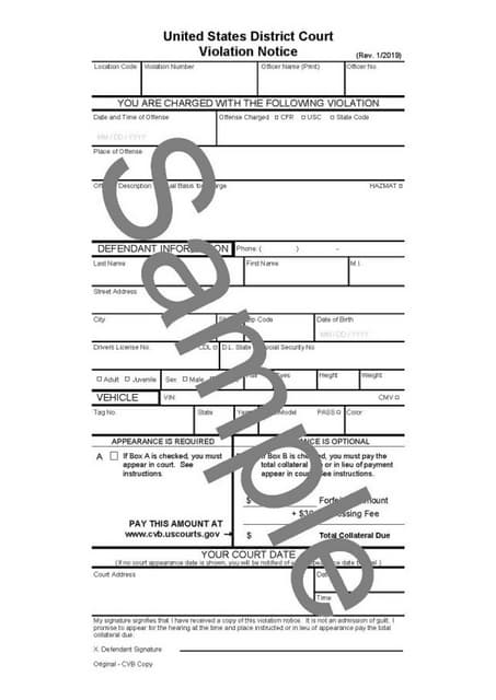 Violation Notice Template