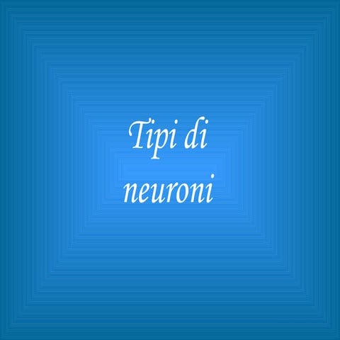 Tipi di neuroni | PPT