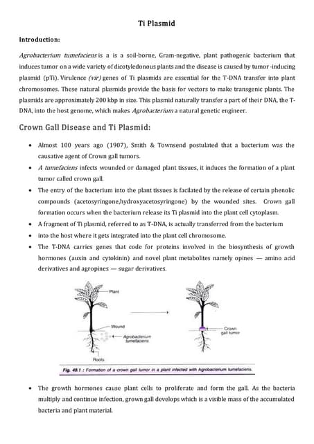 Mechanism of T-DNA to transfer genes into plants | PPTX | Biological ...