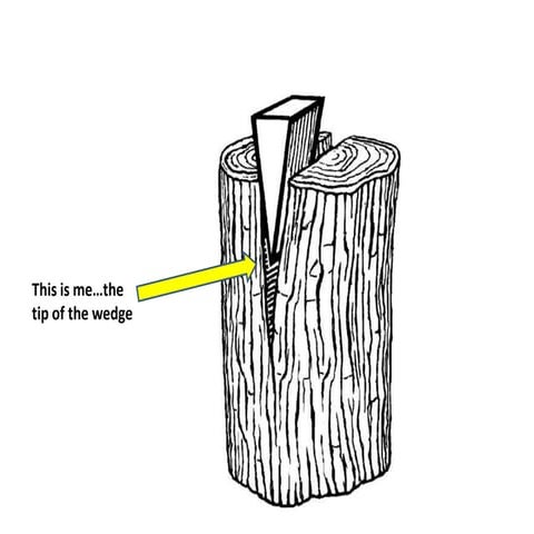 Tip of the Wedge | PPTX