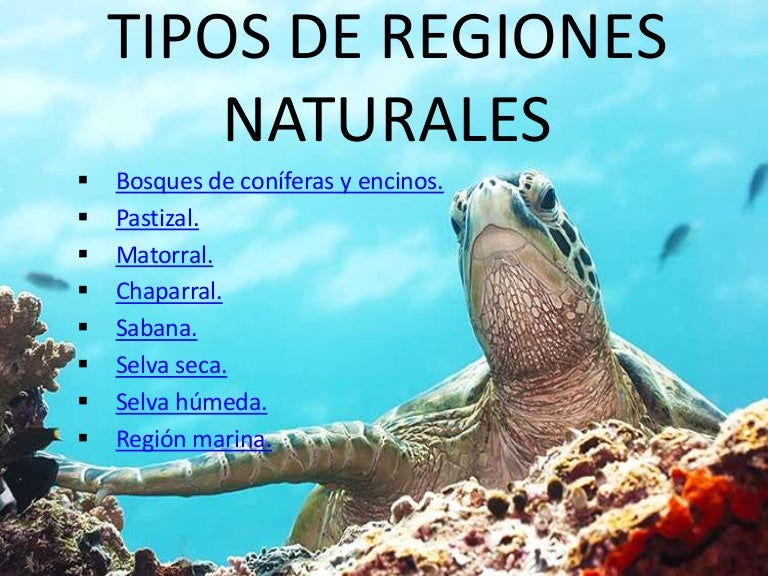 Tipos De Regiones Naturales