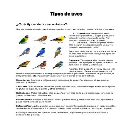 AVES.pptx Miercoles.pptx clasificacion de todas las aves | PPTX