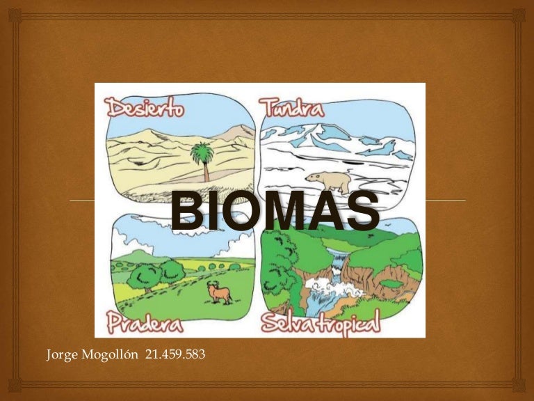 TIPOS DE BIOMAS U.F.T
