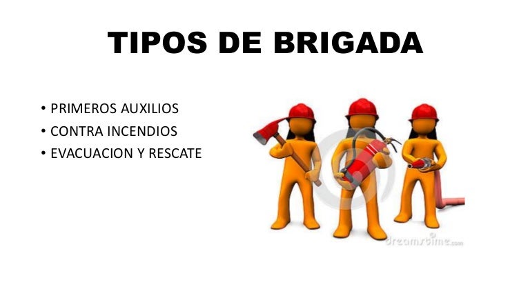 Tipos de brigada