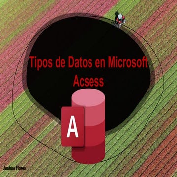 Tipos de Datos en Microsoft Acsess.pptx