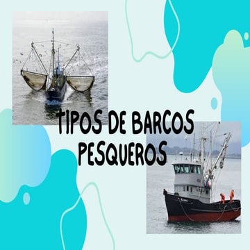 Tipos de Embarcaciones Pesqueras según su Extraccion | PDF