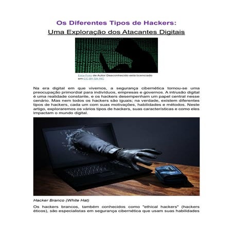 Tipos de hackers uma visão dos atacantes digitais | PDF