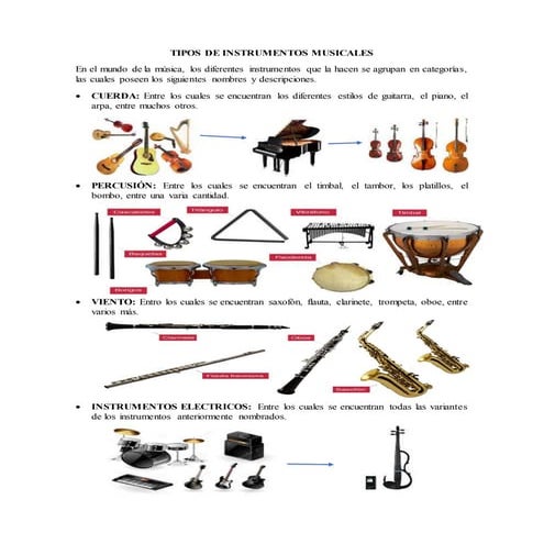 Instrumentos De Percusión Con Nombres