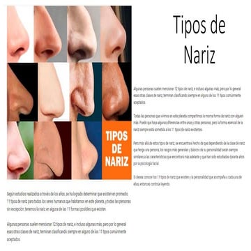 Tipos De Formas De Nariz Humano 4 Estilos De Contorno Para Tu Nariz